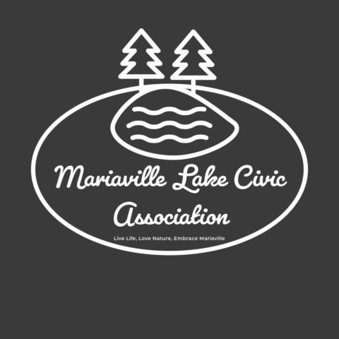 Home | Mariaville Lake Civic Assocation